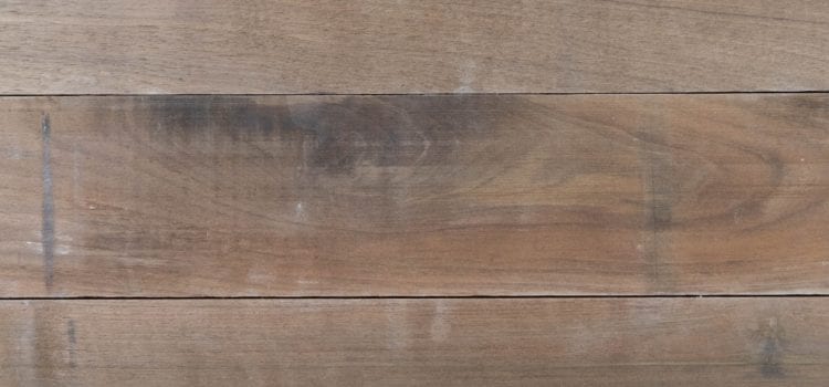 Nogal (Peruvian Walnut) - OHC