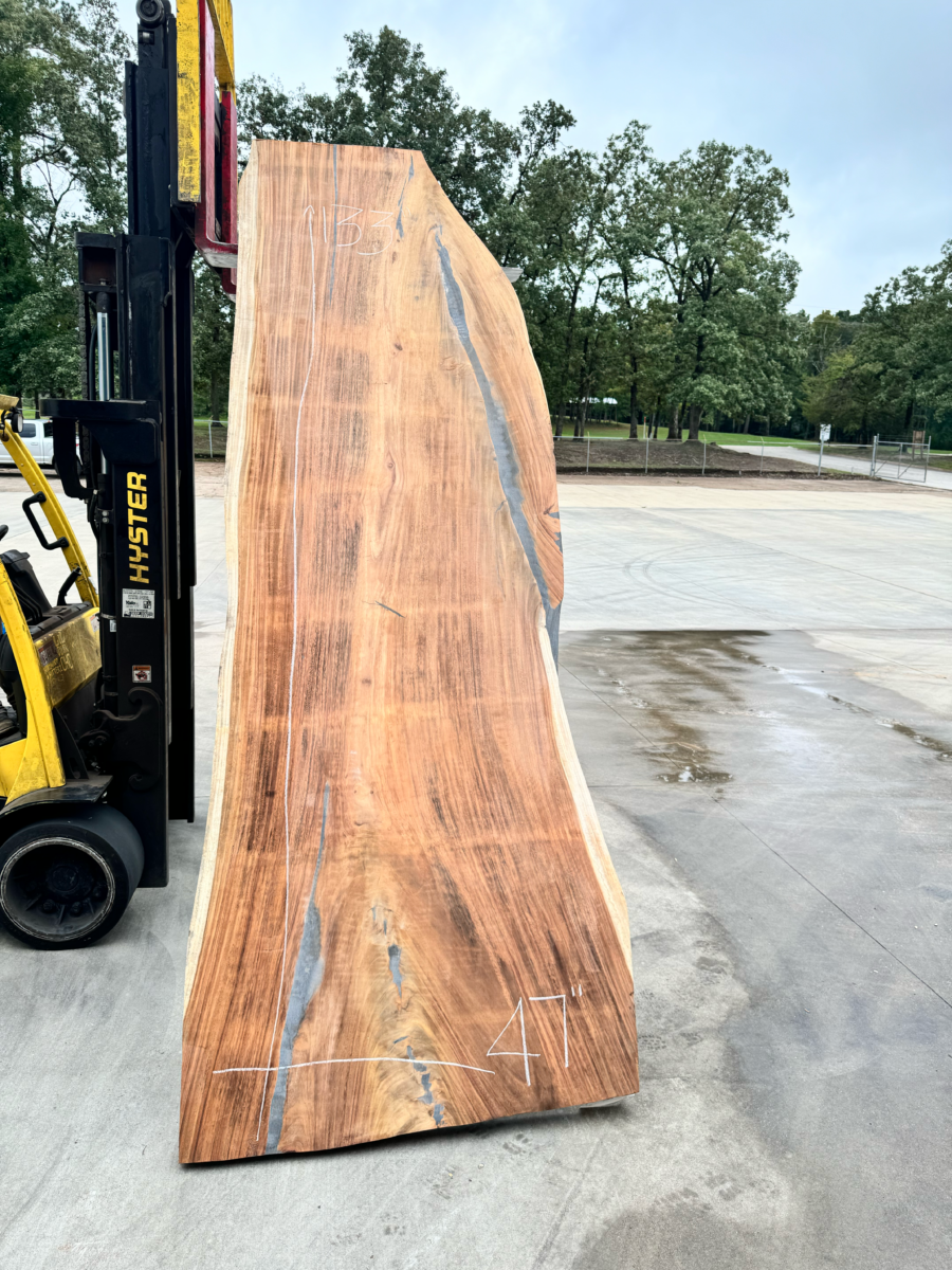 Live-Edge Slabs (SEMI-FINISHED) | OHC